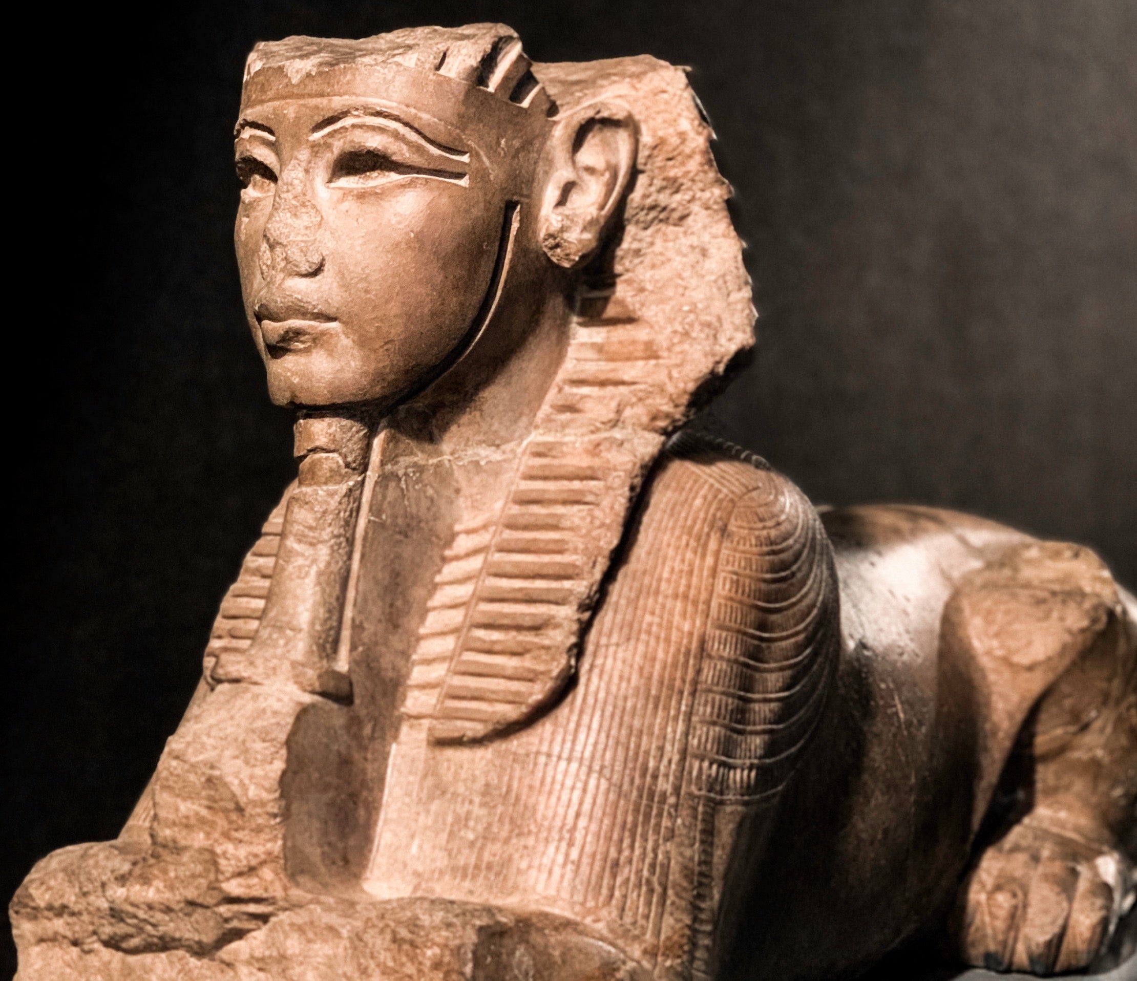Sphinx presenting offerings – Irish Egyptology Society